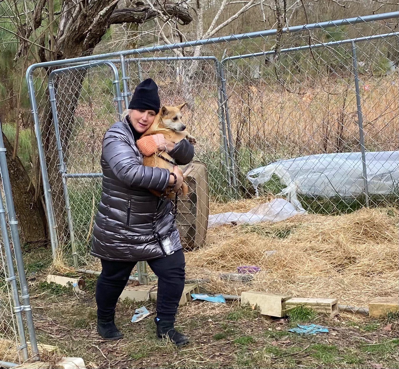 Rescue, It Takes a Community | Greater Huntsville Humane Society