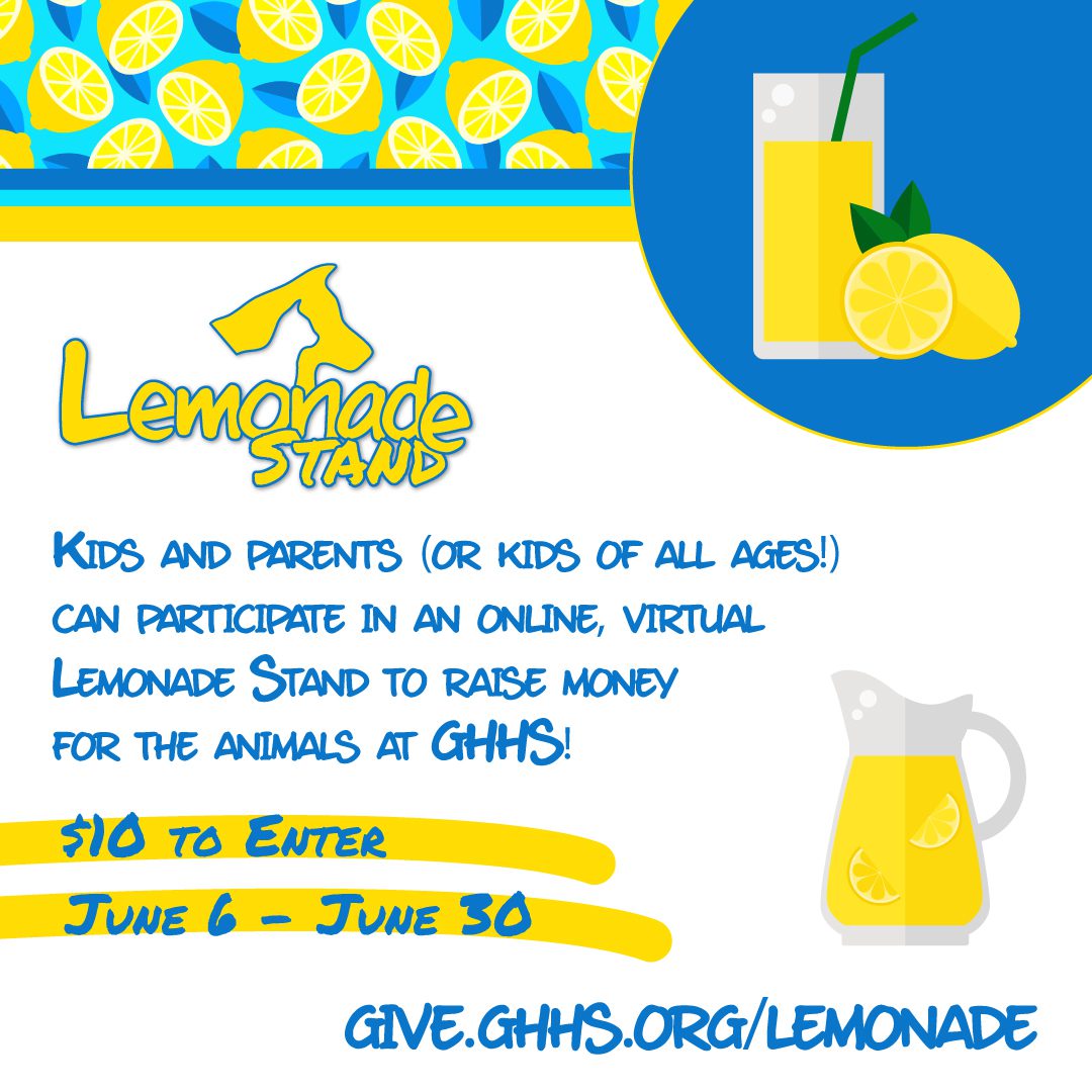 Virtual Lemonade Stand | Greater Huntsville Humane Society