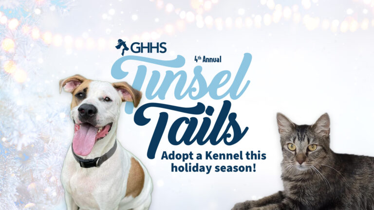 Animal Rescue Huntsville | Greater Huntsville Humane Society