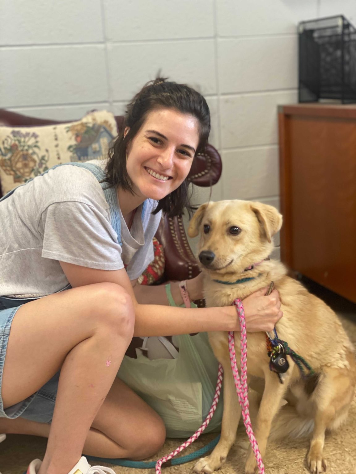 Animal Rescue Huntsville | Greater Huntsville Humane Society