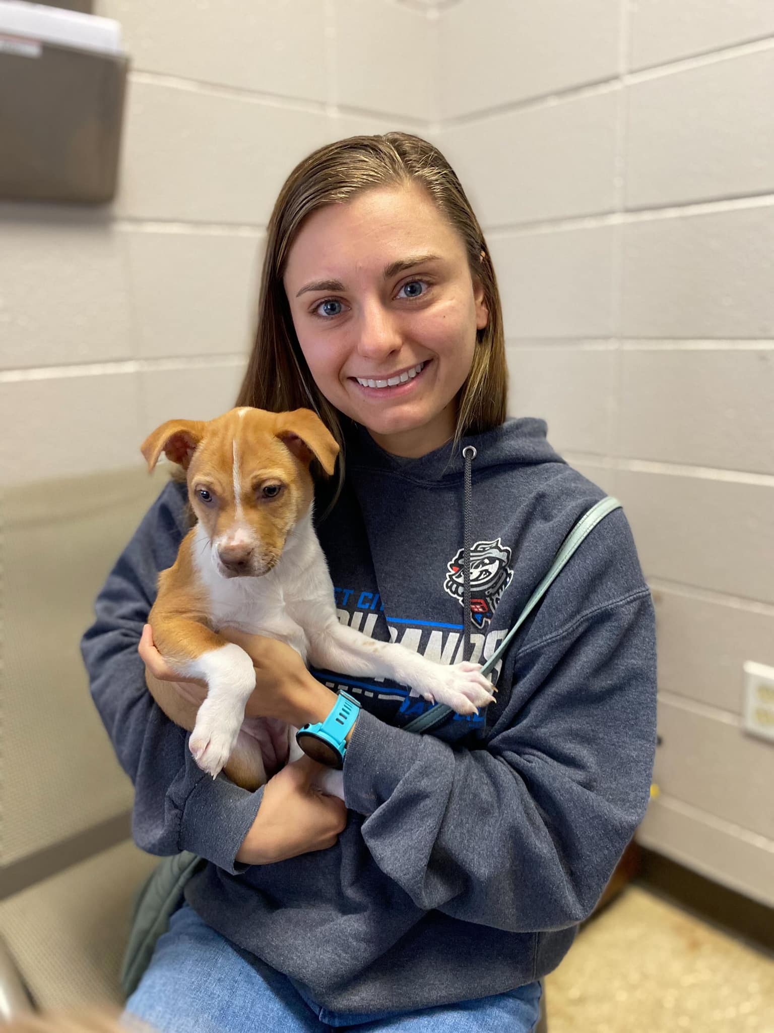 Apply to Volunteer | Greater Huntsville Humane Society