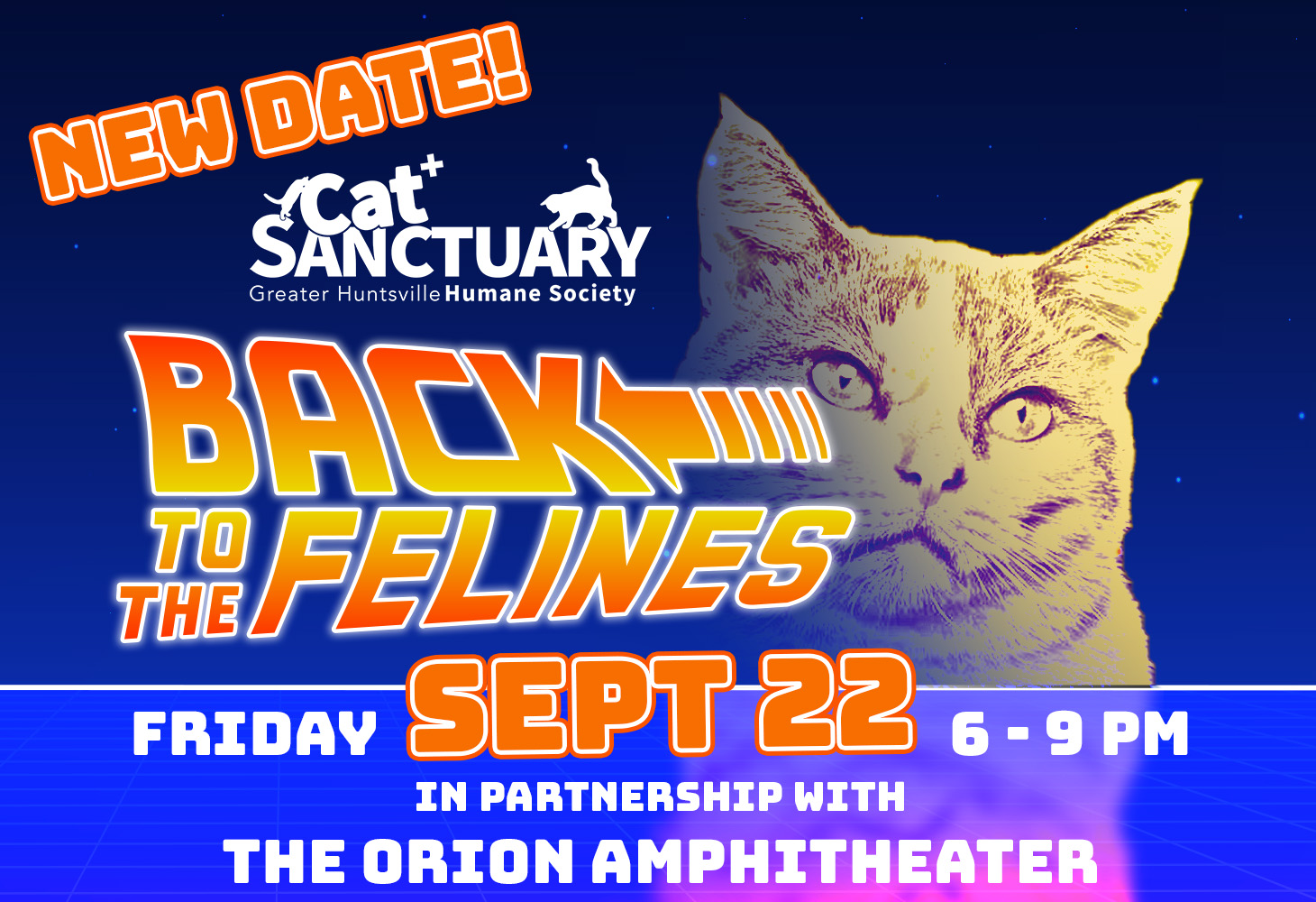 Back to the Felines | Greater Huntsville Humane Society