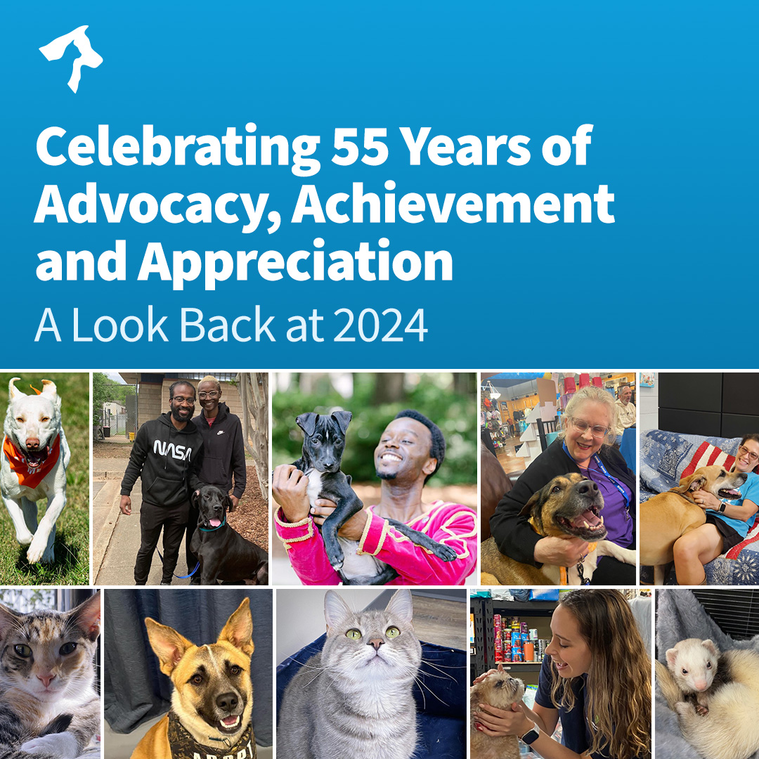 2024 End of Year Update, from Spencer Batcheller | Greater Huntsville ...